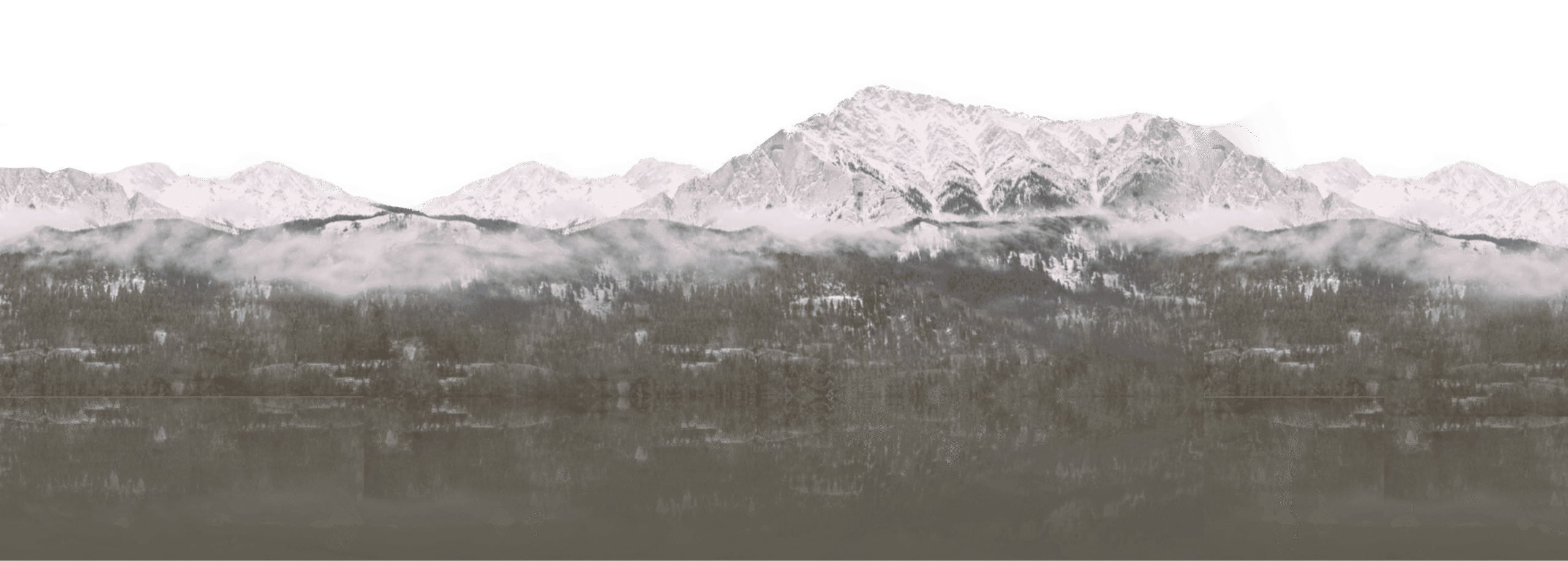 Insurance | Alberta Equestrian Federation