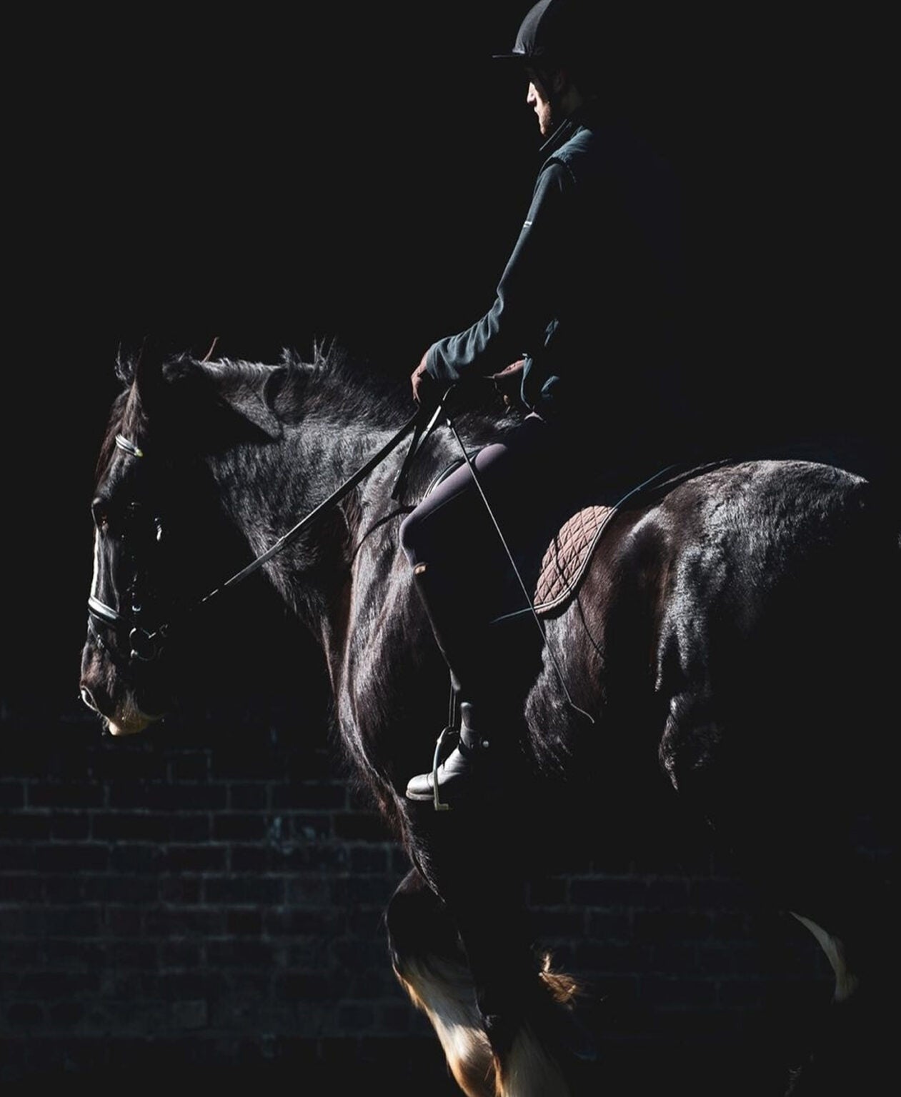 Alberta Equestrian Federation